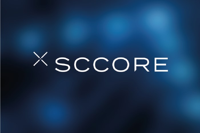 SCALINX | NEW ART OF SIGNAL CONVERSION